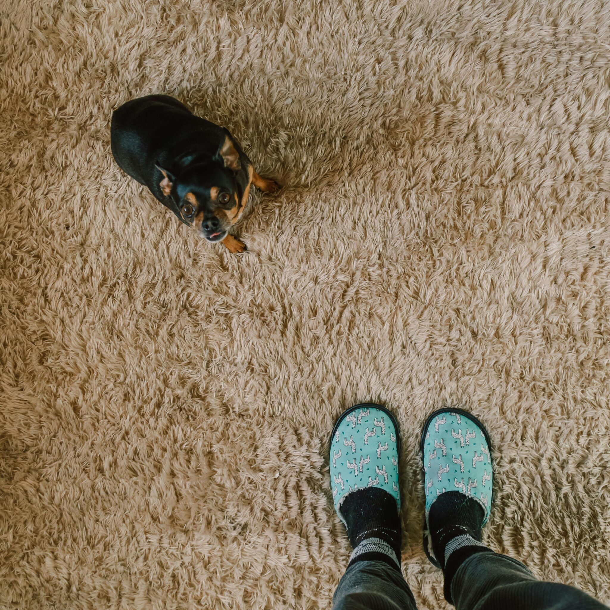 Carpet Calculator UK – Instantly Work Out M², Underlay & Gripper ...